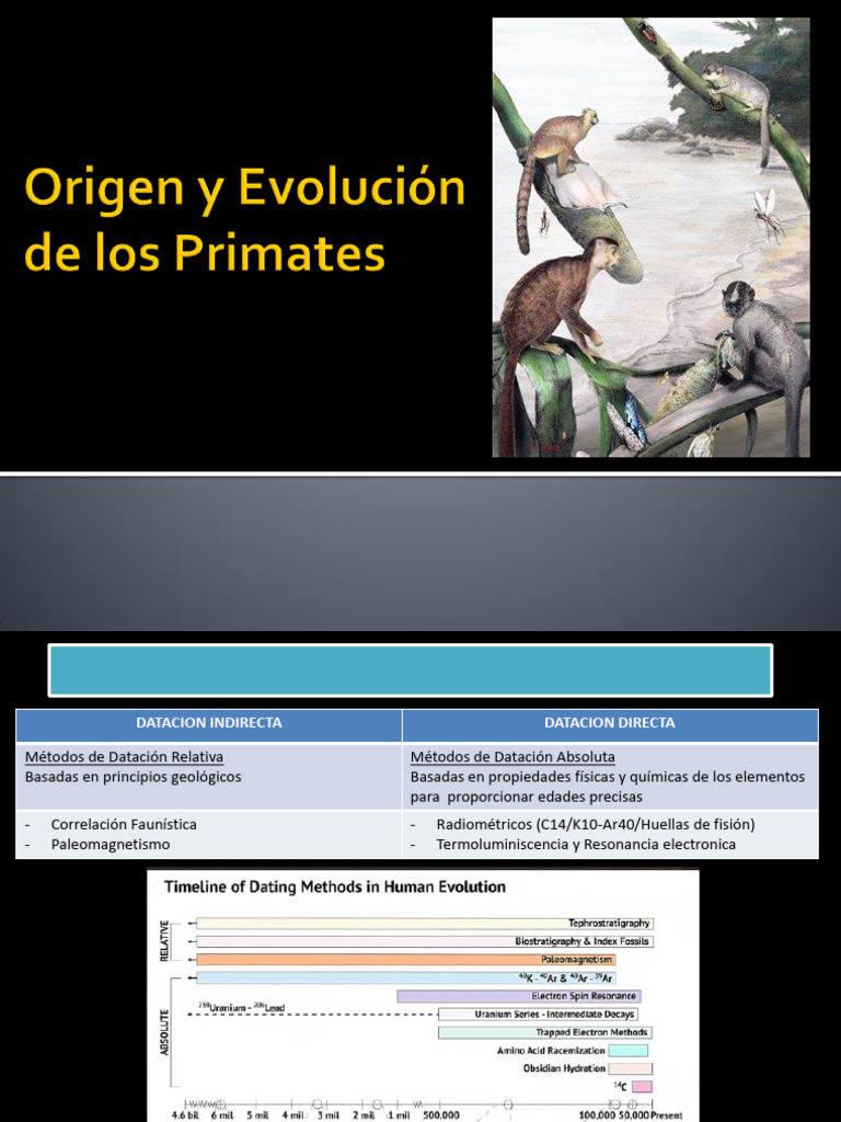 Evolución y Datación de Primates | PDF | Mono | Geología