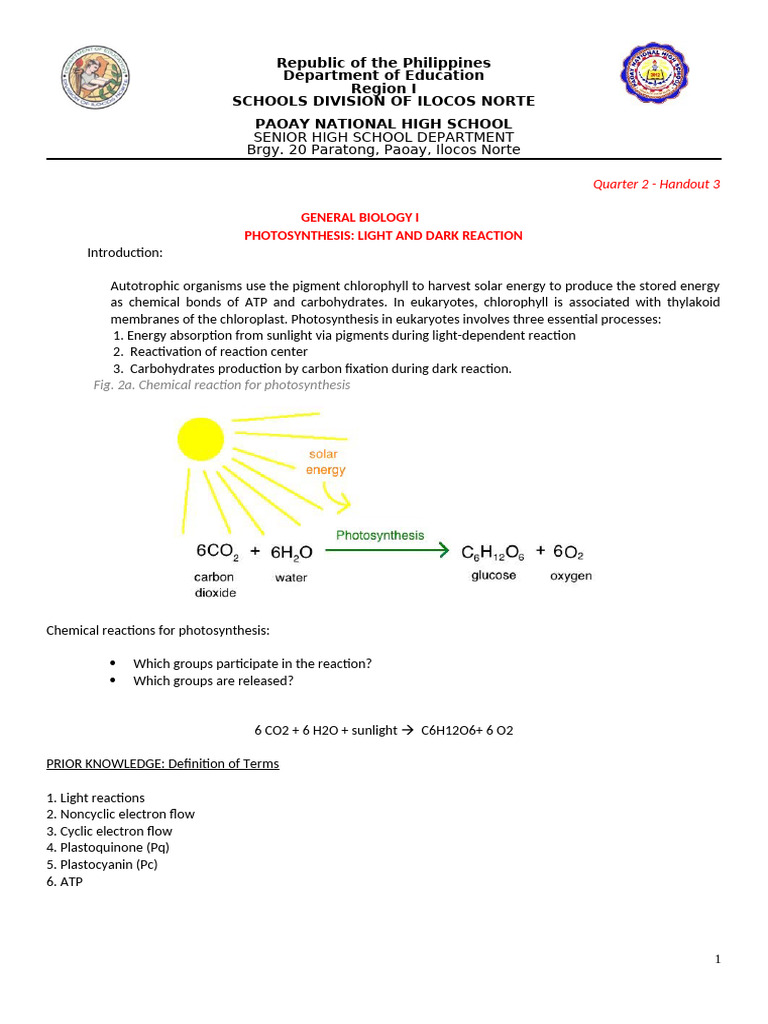 Photosynthesis Light and Dark Reaction Events | PDF | Photosynthesis ...