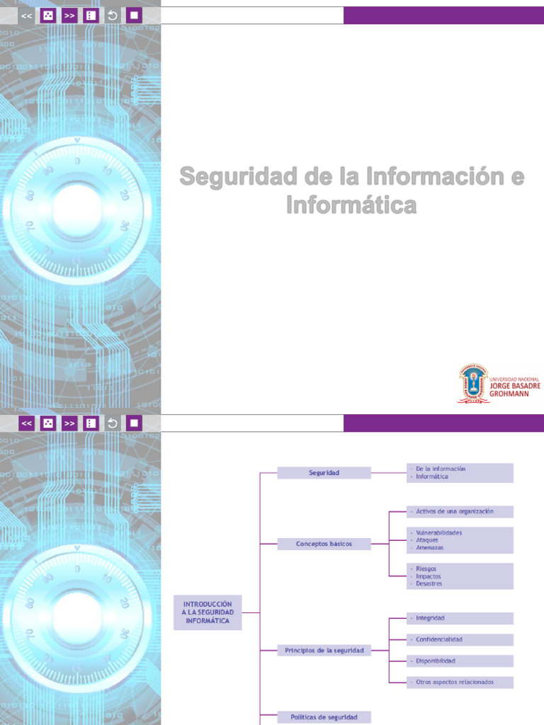 Seguridad de La Información e Informática | PDF | La seguridad ...