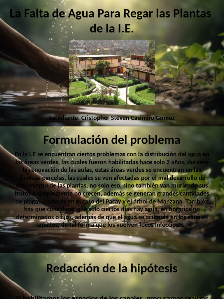 Solucion A La Problematica | PDF