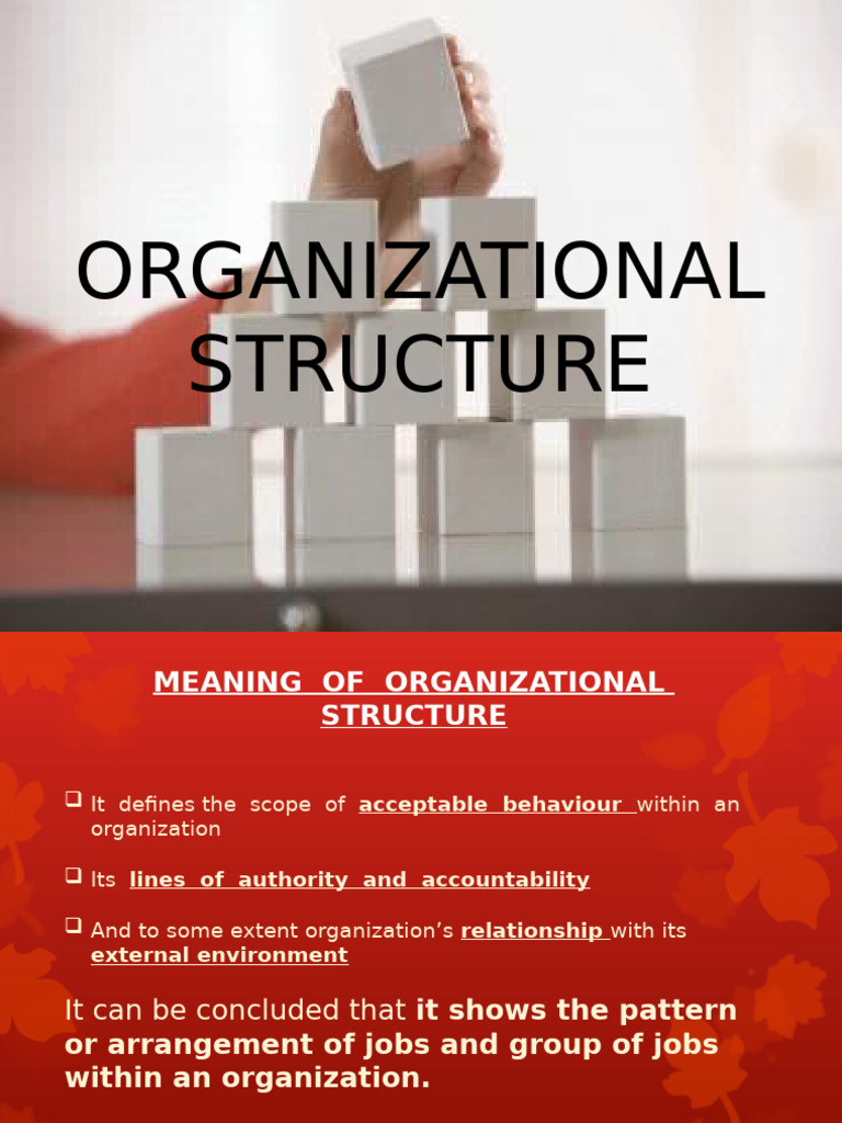 Organizational Structure | PDF | Business Economics | Social Psychology