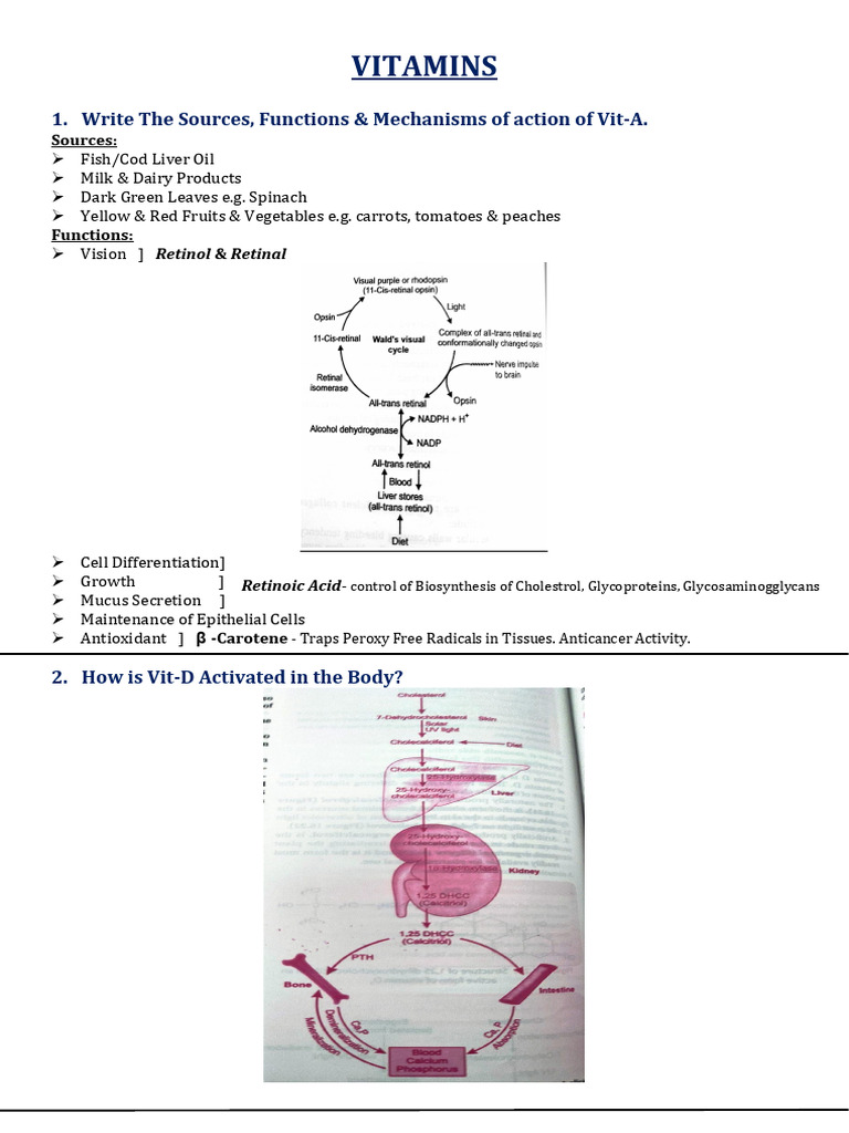 Vitamins | PDF | Citric Acid Cycle | Chemistry