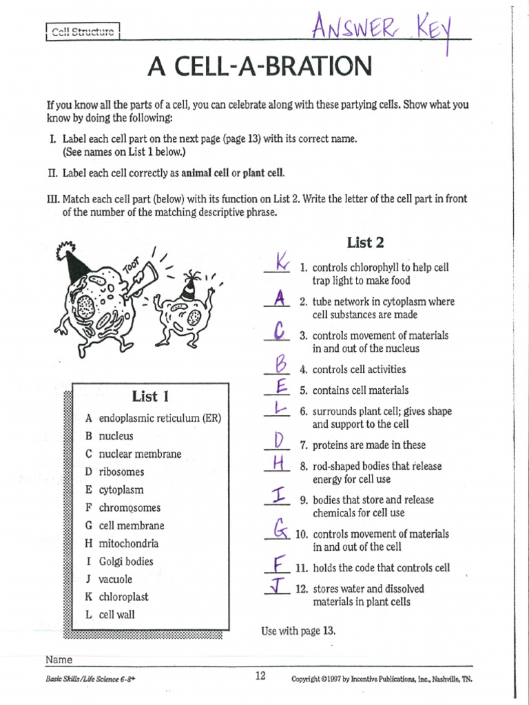A Cell-A-Bration - Key | PDF