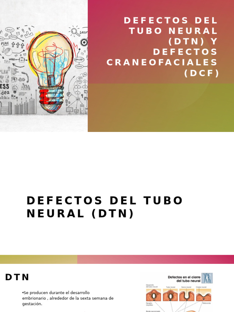 DEFECTOS DEL TUBO NEURAL | PDF | Desorden congenito | Especialidades ...