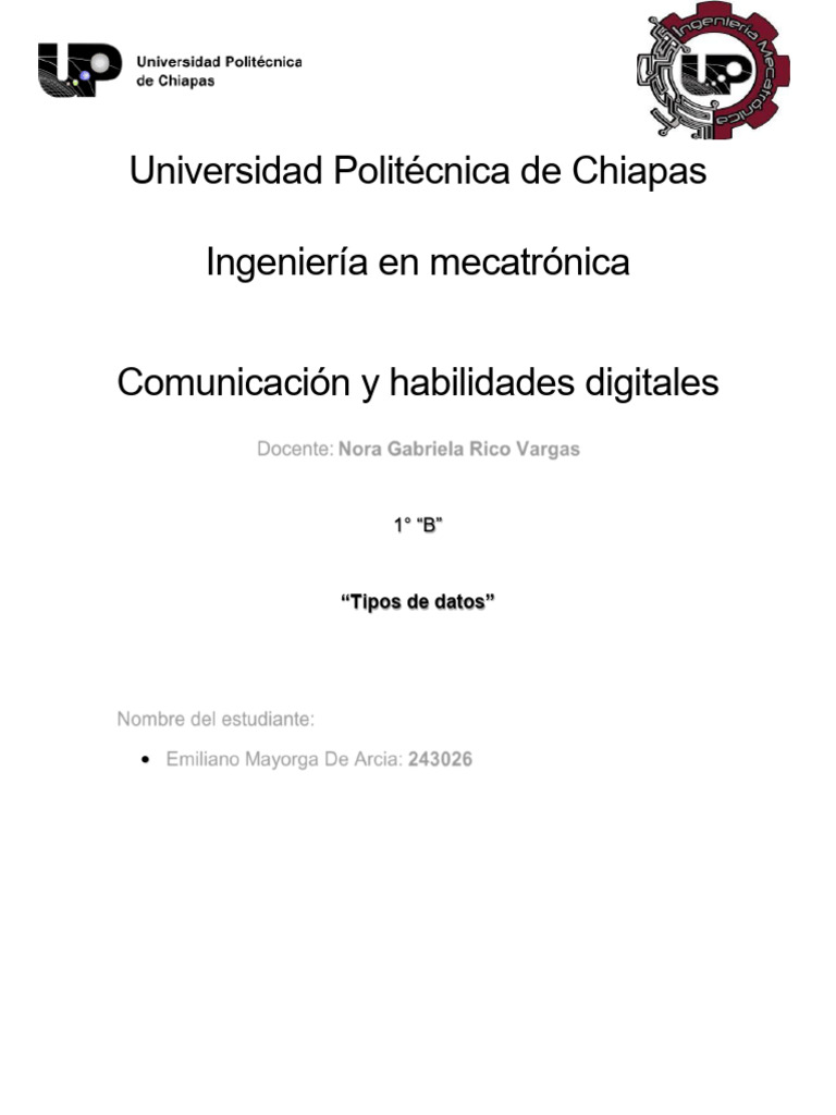 Tipos De Datos De Programacion Emiliano Mayorga Pdf Tipo De Datos 4212