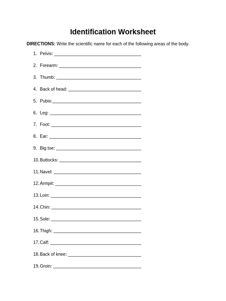 - Identification Worksheet | PDF