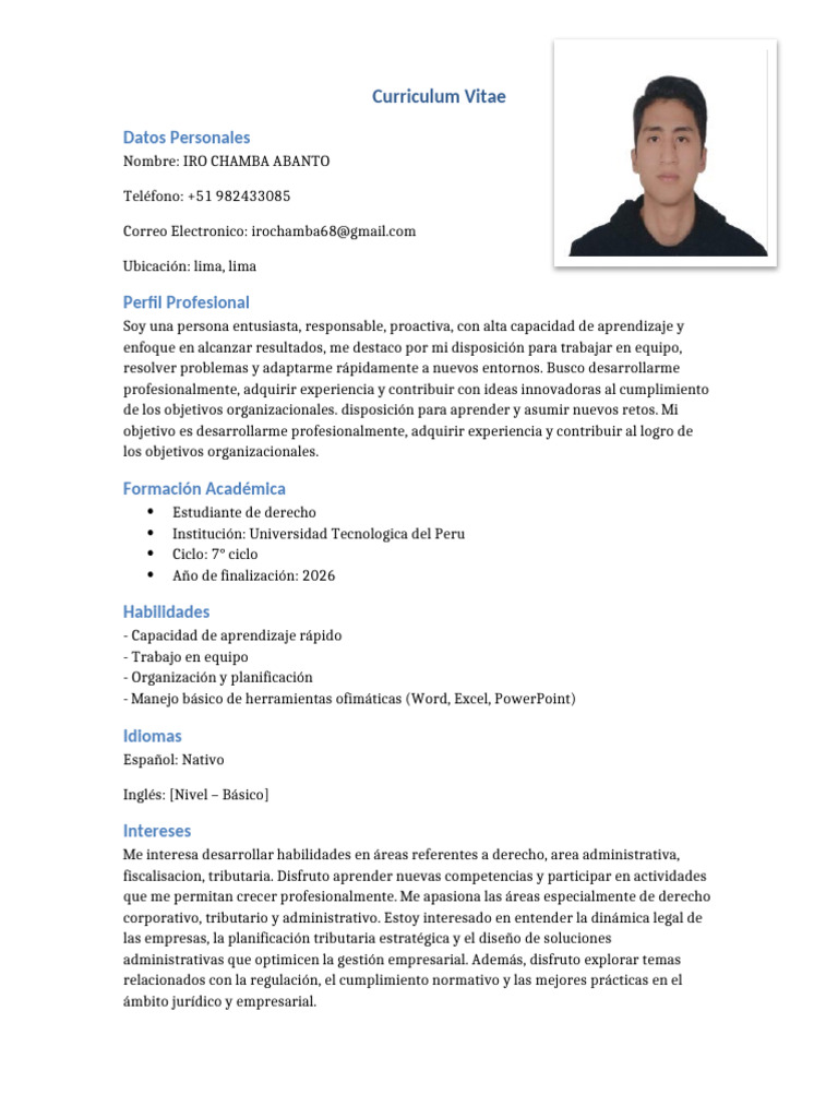 Curriculum Vitae Plantilla 2024 | PDF