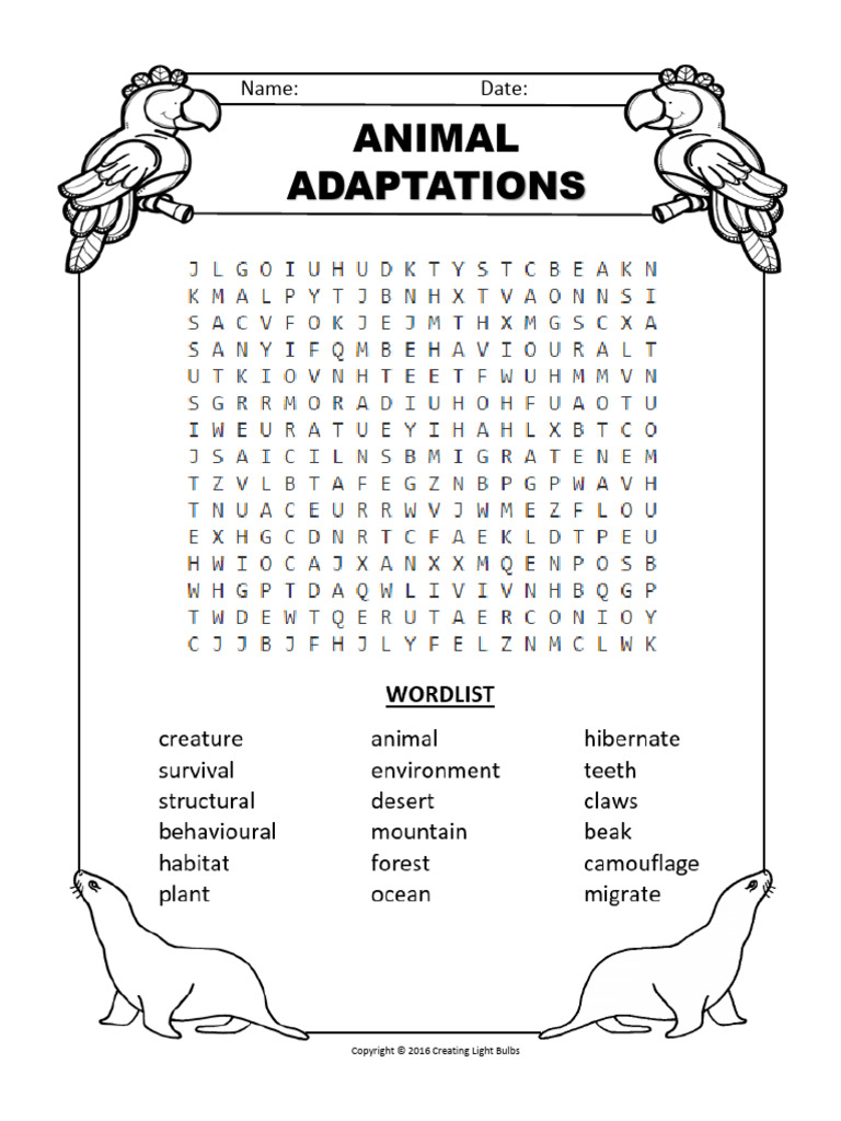 Animal Adaptations Word Search | PDF