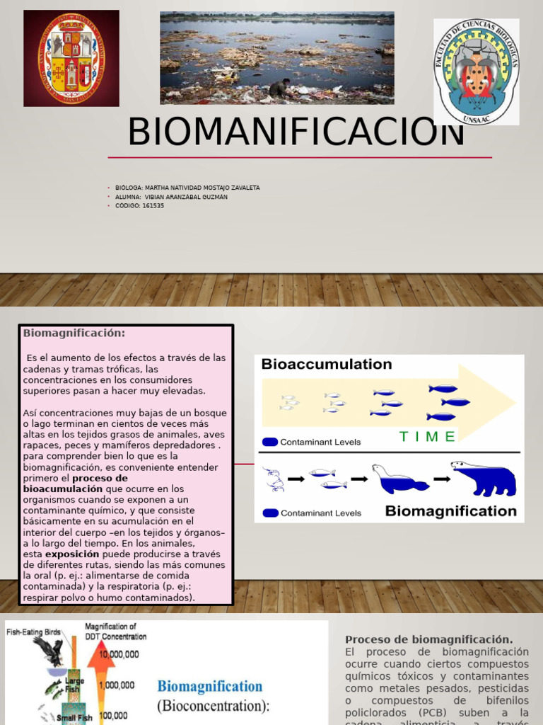 Impacto de la Biomagnificación y el DDT | PDF | Ddt | Insecticida