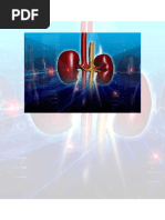 Egfr Chart | PDF | Clinical Medicine | Physiology