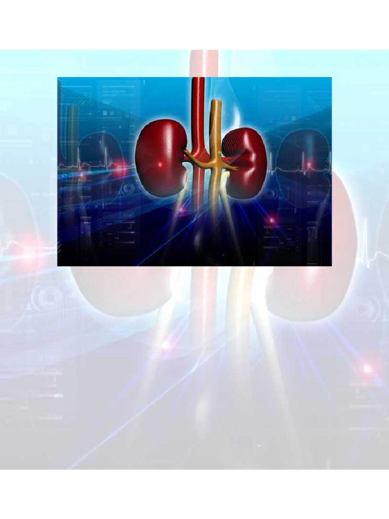 Kidneys and Bladder Care English | PDF | Kidney | Urinary System