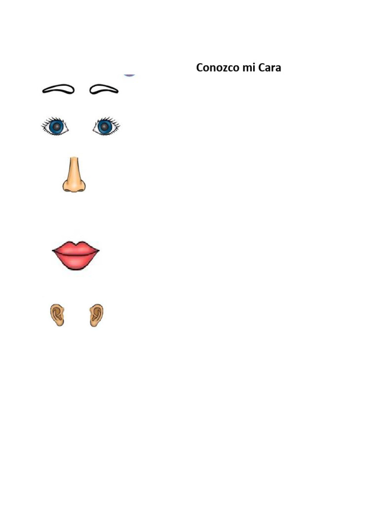 Pronombre Personales y Posesivos | PDF