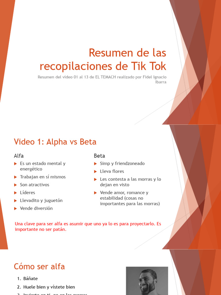 Resumen de las recopilaciones de Tik Tok | PDF
