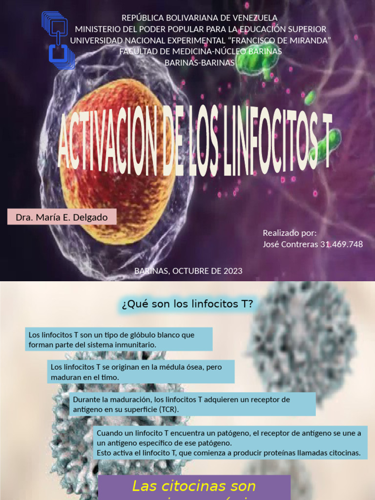 Activacion de Los Linfocitos T | PDF | Célula T | Sistema inmune