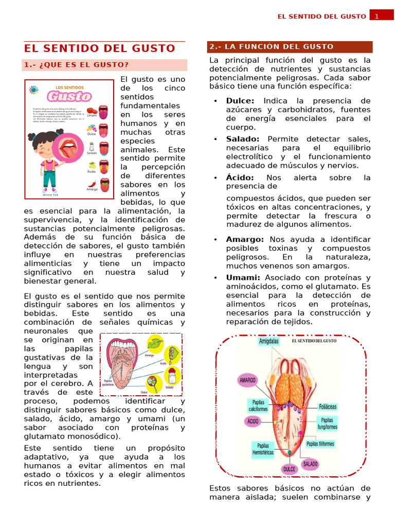 Comprendiendo el sentido del gusto | PDF | Gusto