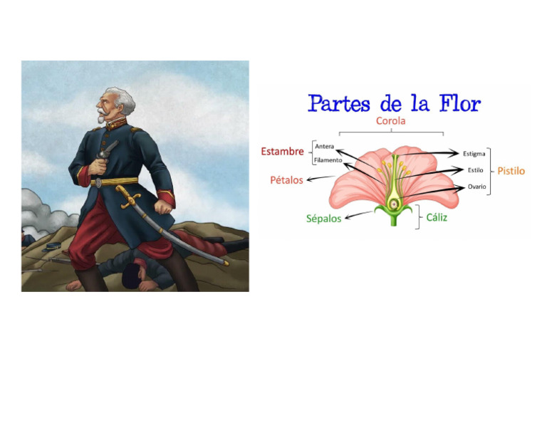 Presis | PDF
