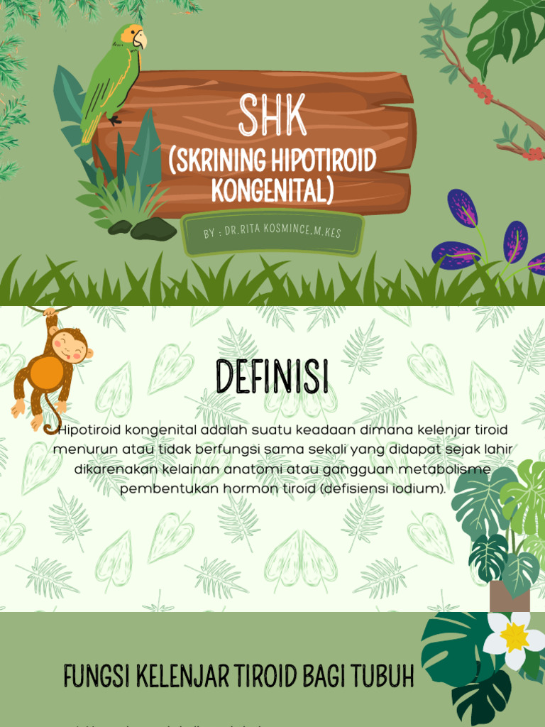 PPT IMOET SHK DR.RITA K (1) | PDF