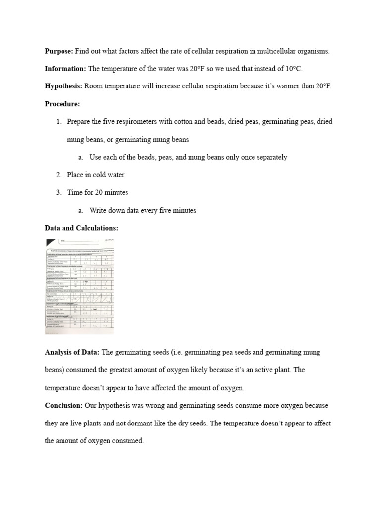 Cellular Respiration Lab Report | PDF