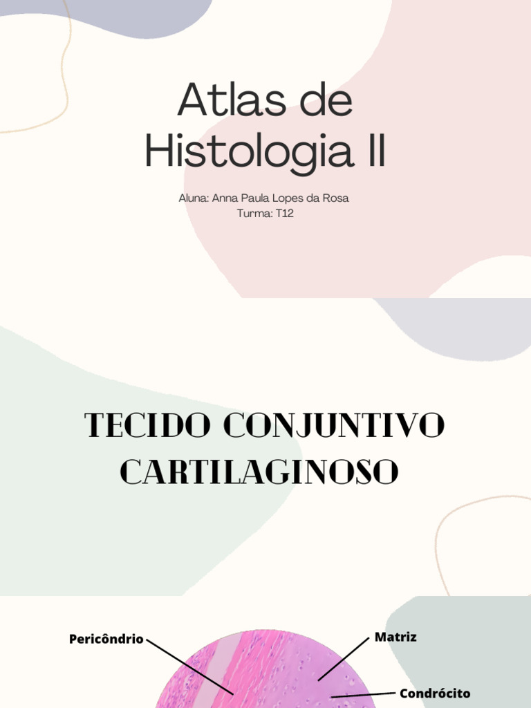 Atlas Histologia | PDF | Osso | Anatomia