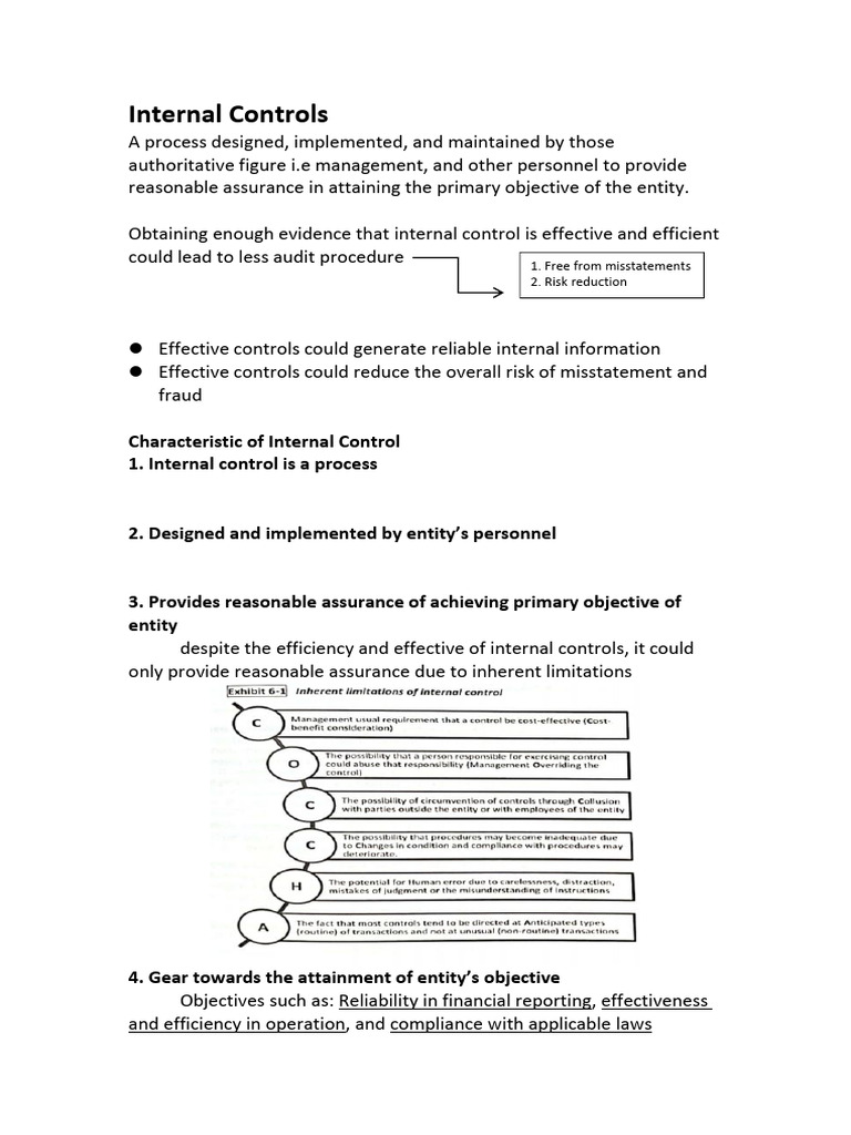 Internal Controls | PDF | Internal Control | Corporate Governance