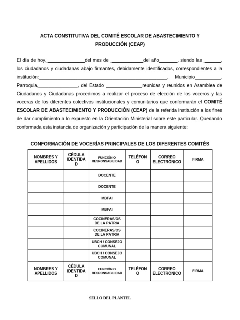 Acta Constitutiva Ceap 2024-2025 | PDF | Gobierno