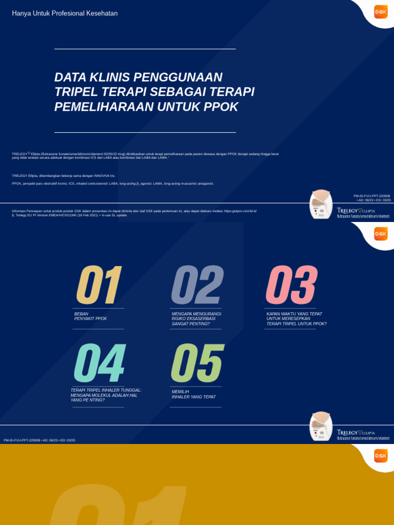 RTD Slidedeck - Data Klinis Penggunaan Tripel Terapi Sebagai Terapi Pemeliharaan Untuk Ppok | PDF