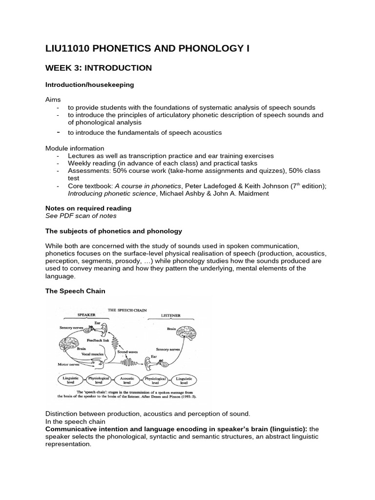 Phonetics and Phonology Notes | PDF | Phonetics | Vowel