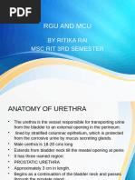 RGU and MCU PPT Final For 18.9.23, Bsmmu | PDF | Urinary System | Urology