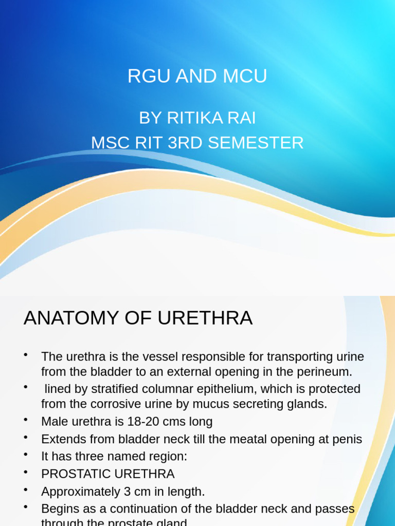 RGU AND MCU | PDF | Urination | Genitourinary System