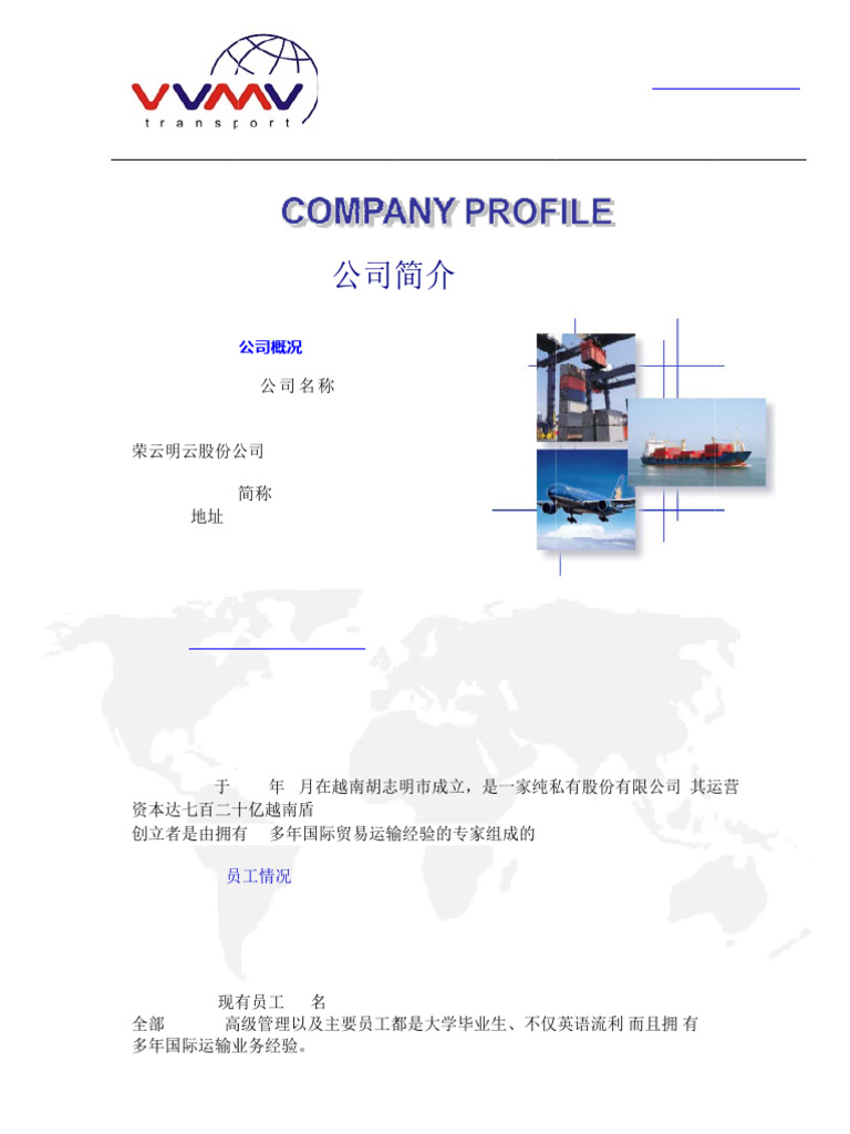 VVMV Profile - CHINESE | PDF | Vietnam | Freight Transport