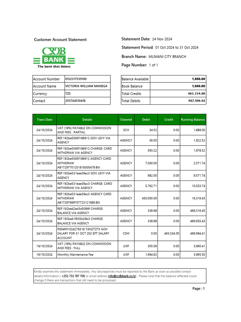 Customer Account Statement - TZ | PDF | Debits And Credits | Personal ...