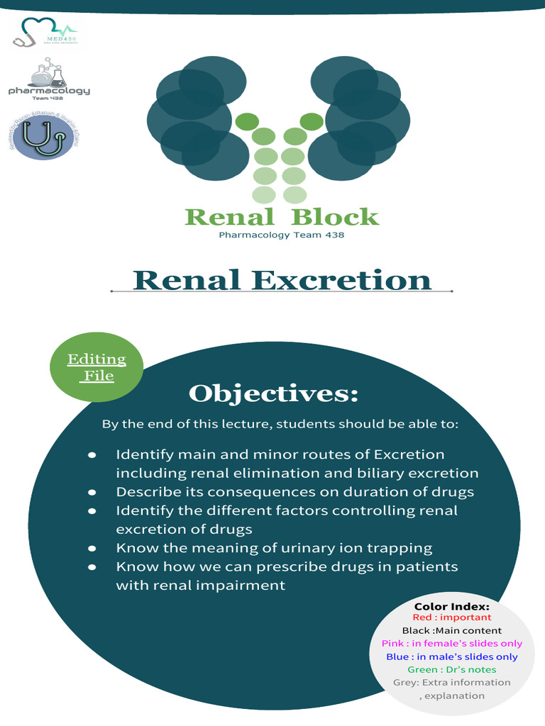 Renal Excretion | PDF | Kidney | Medical Specialties