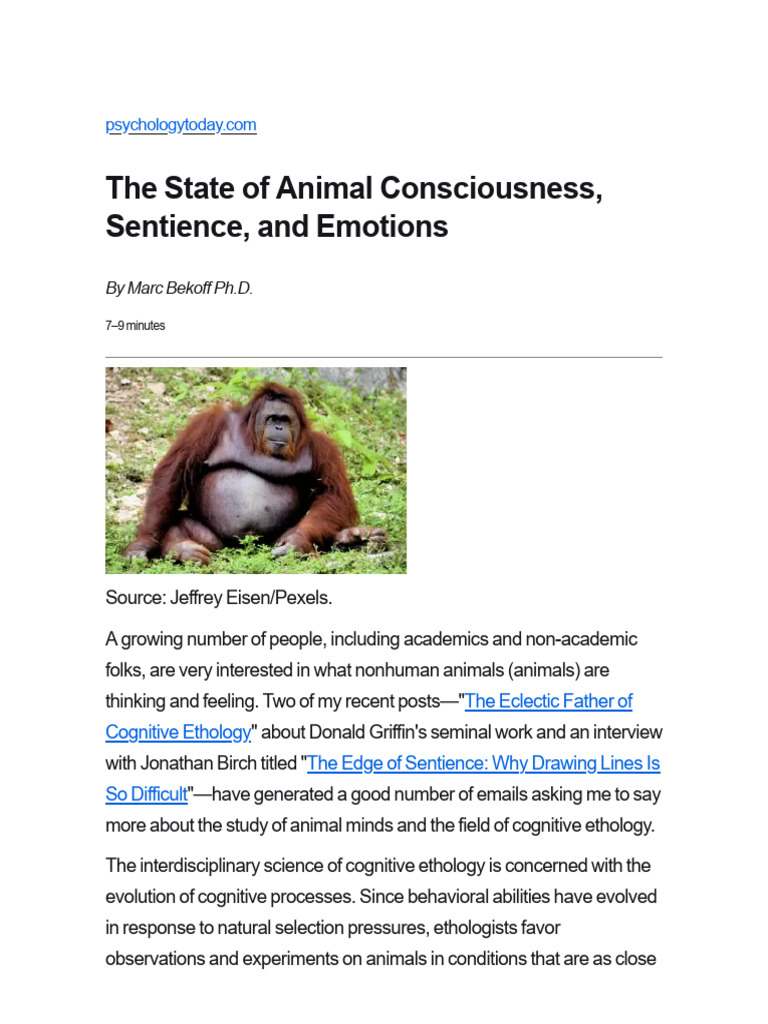 Animal Consciousness and Emotions | PDF | Consciousness | Emotions