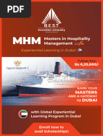 Dubai Way - Guidelines | PDF | United Arab Emirates | Computing