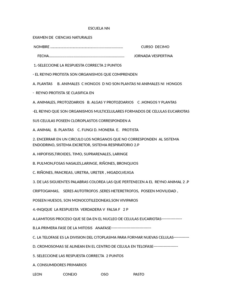 EXAMEN DE CCNN | PDF