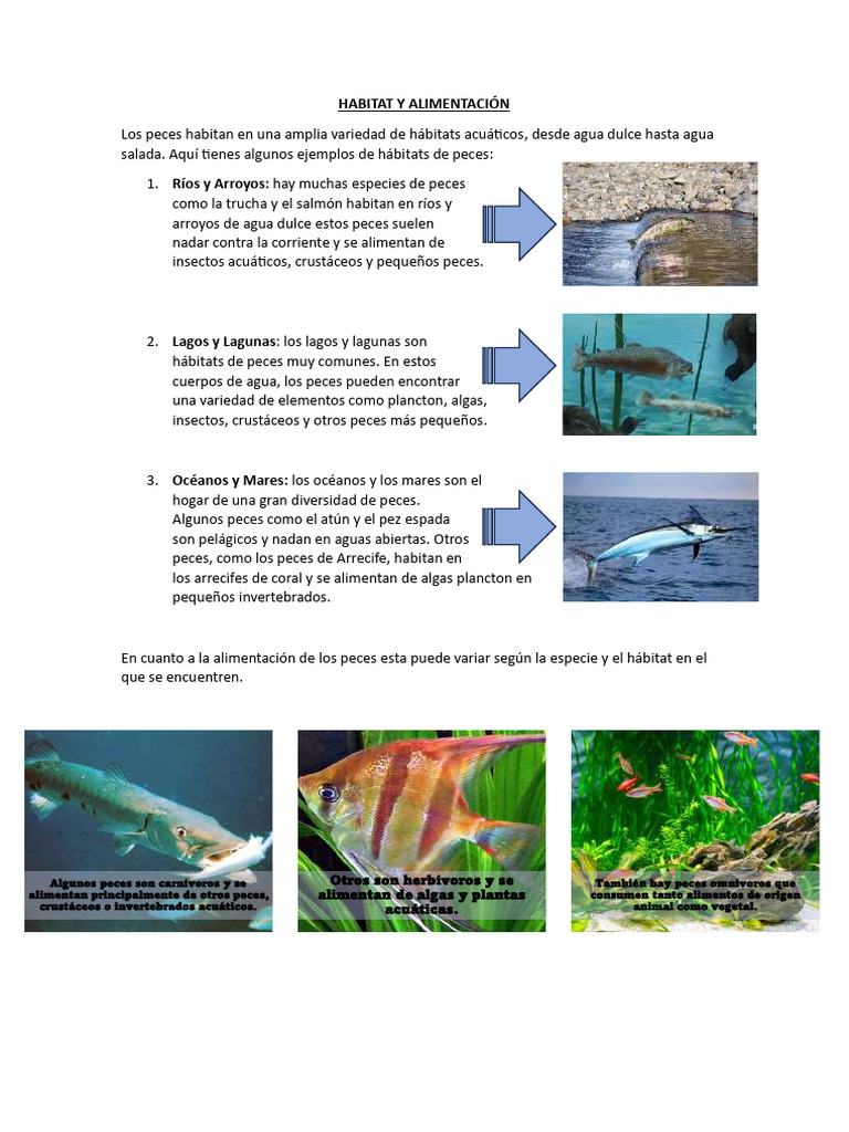 Habitad y Alimentación de Los Peces | PDF