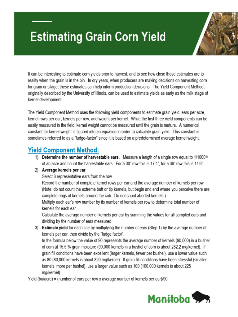 Corn Yield Estimation Guide | PDF | Maize | Seed