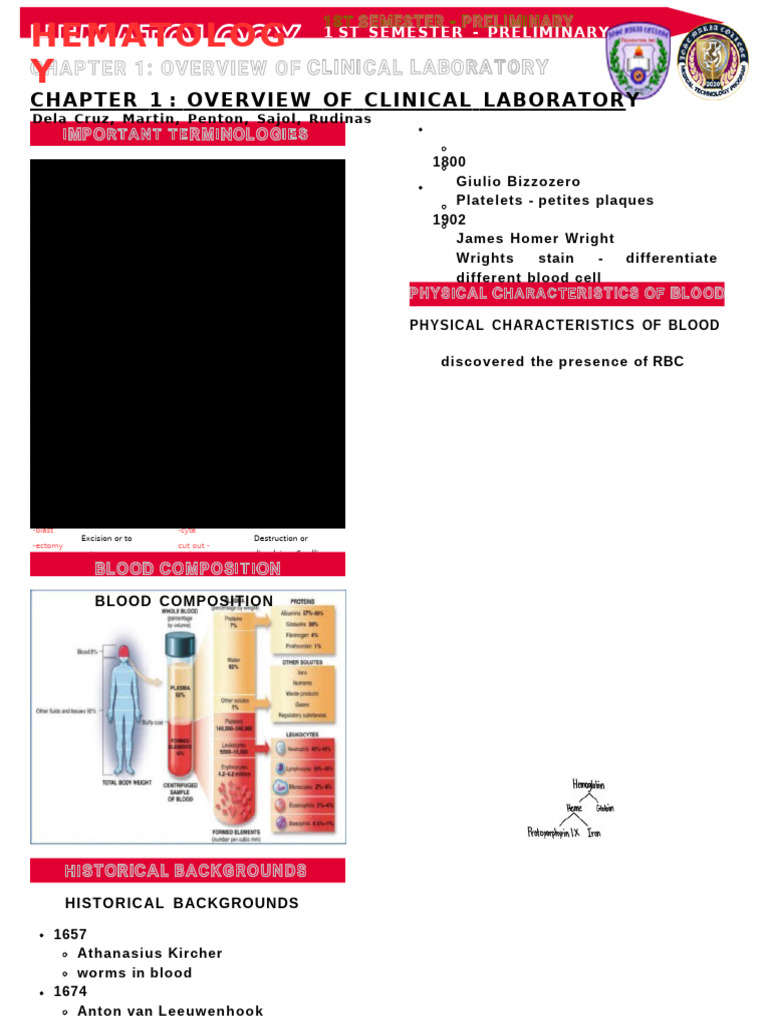 GROUP-2_HEMATOLOGY-SYSTEMATIC-NOTES-PRELIM | PDF | Hematopoietic Stem ...