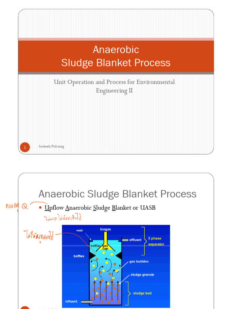 8anaerobic Sludge Blanket Process | PDF | Anaerobic Digestion | Sewage ...