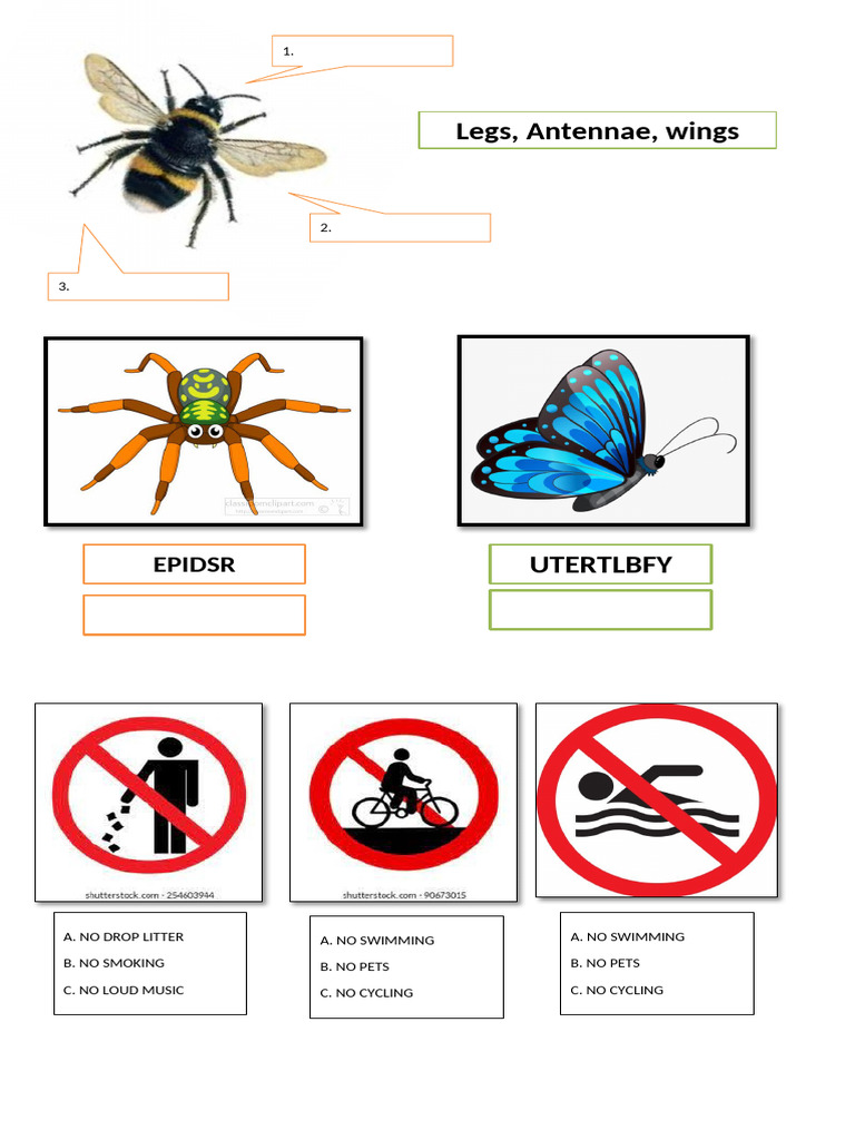 contoh soal kelas 2 SD | PDF