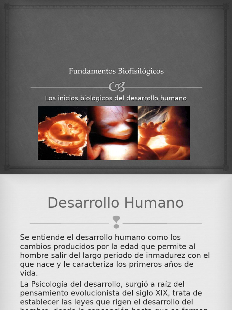 Inicios Biológicos | PDF | Feto | Desarrollo prenatal