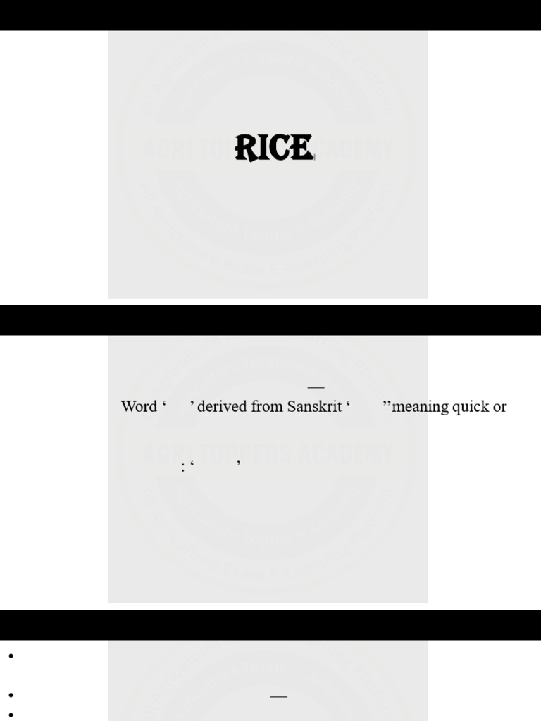 Rice | PDF | Rice | Agriculture