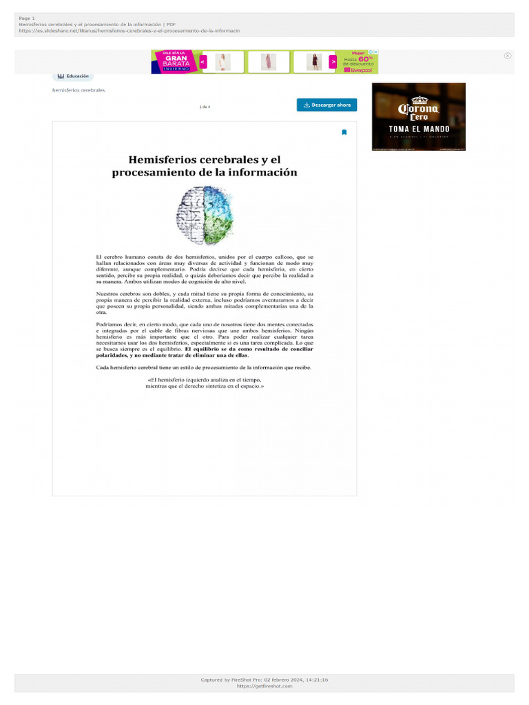 Hemisferios Cerebrales Procesamiento de Inf 1 | PDF