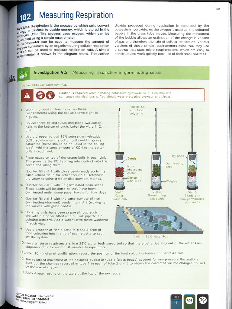 C1.2 Measuring Respiration_Biozone | PDF