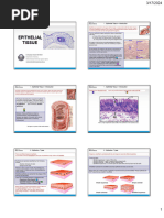 Epithelial Tissues Lab Manual | PDF | Epithelium | Anatomy