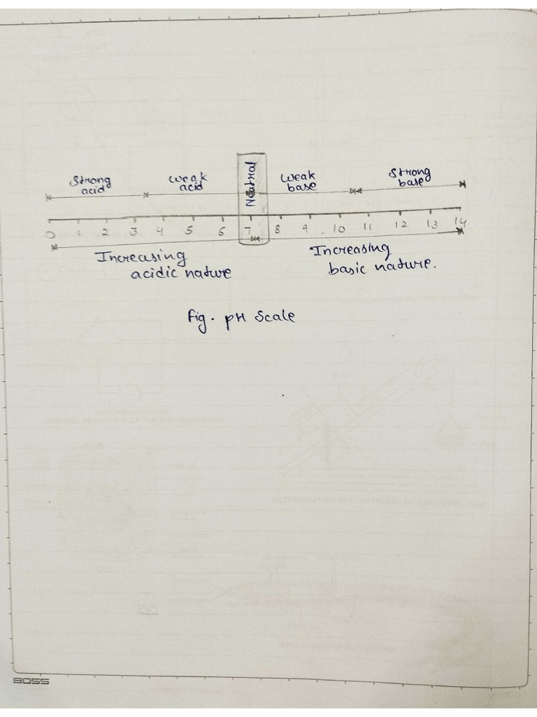 Science .. Practical.. | PDF