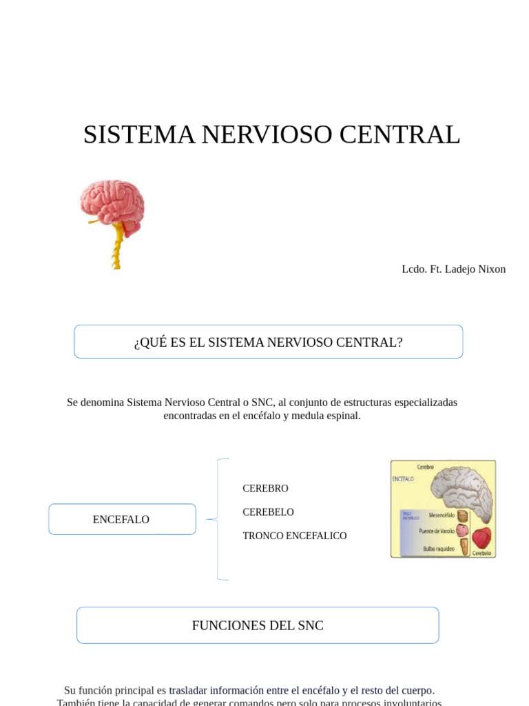 snc | PDF | Cerebro | Sistema nervioso central