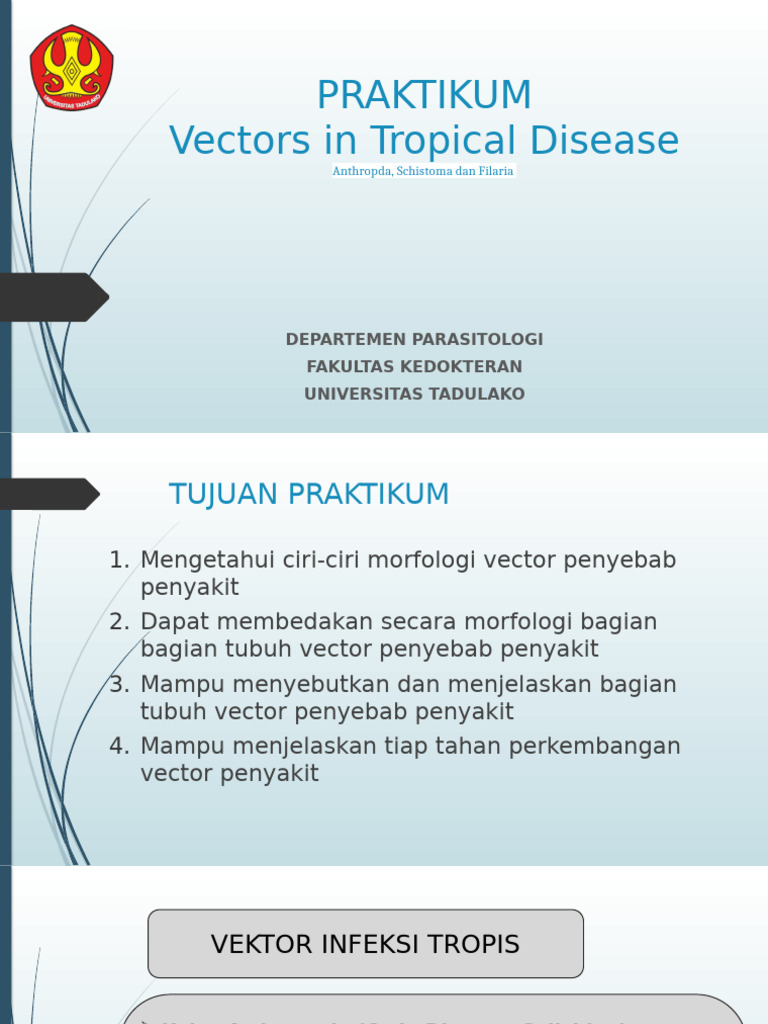 Praktikum Vektor in Tropical Disease | PDF | Mosquito | Insects And Humans