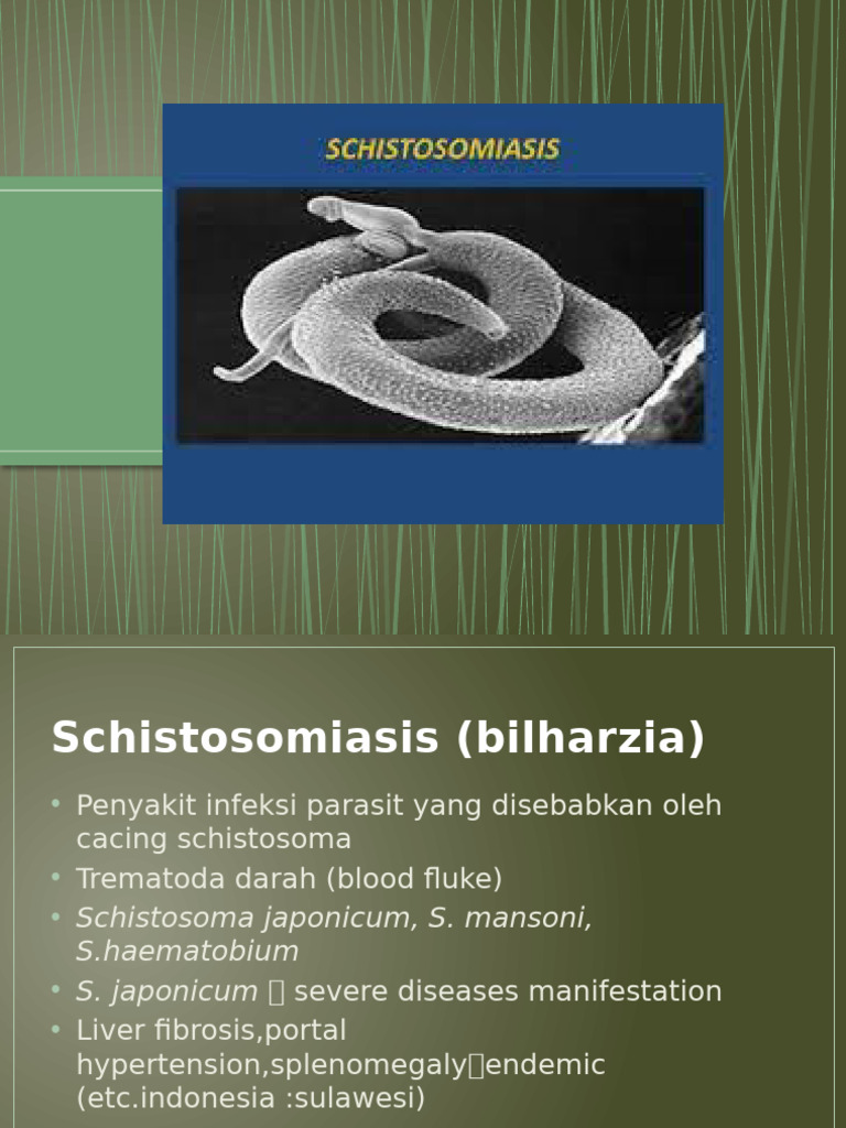 Schistosomiasis | PDF | Medical Specialties | Diseases And Disorders