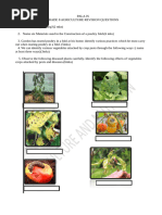 Grade 8 Agriculture Term 1 2025 Opener Exam | PDF | Surface Runoff | Soil